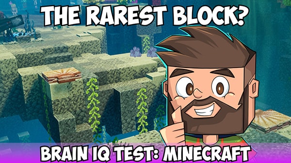 Brain IQ test: Minecraft Quiz Game - Play at RoundGames
