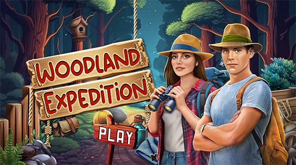 Woodland Expedition Game - Play Online at RoundGames