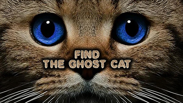 Find the Ghost Cat Game 🕹️ Play Online Now