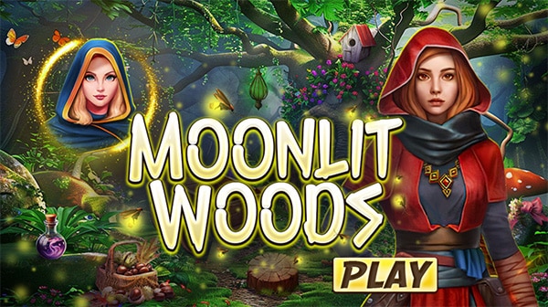 Moonlit Woods Game 🕹️ Play Online Now at RoundGames