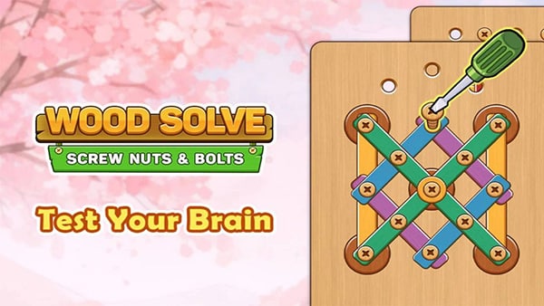 Screw Nuts and Bolts: Wood Solve Game 🕹️ Play Online