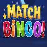 Match Bingo Game - Play Match Bingo Game on Round Games